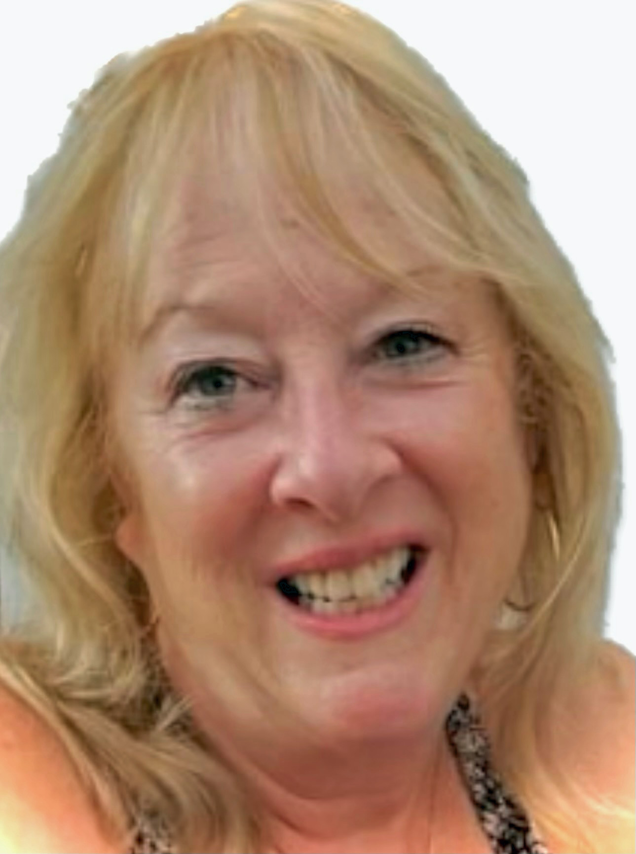 Diane E. Smith | News, Sports, Jobs - Adirondack Daily Enterprise